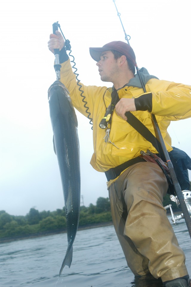 Striper Cup Catch & Release Contest: How it Works