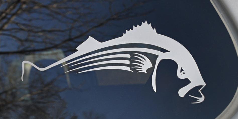 Fish Sticker for Your Truck