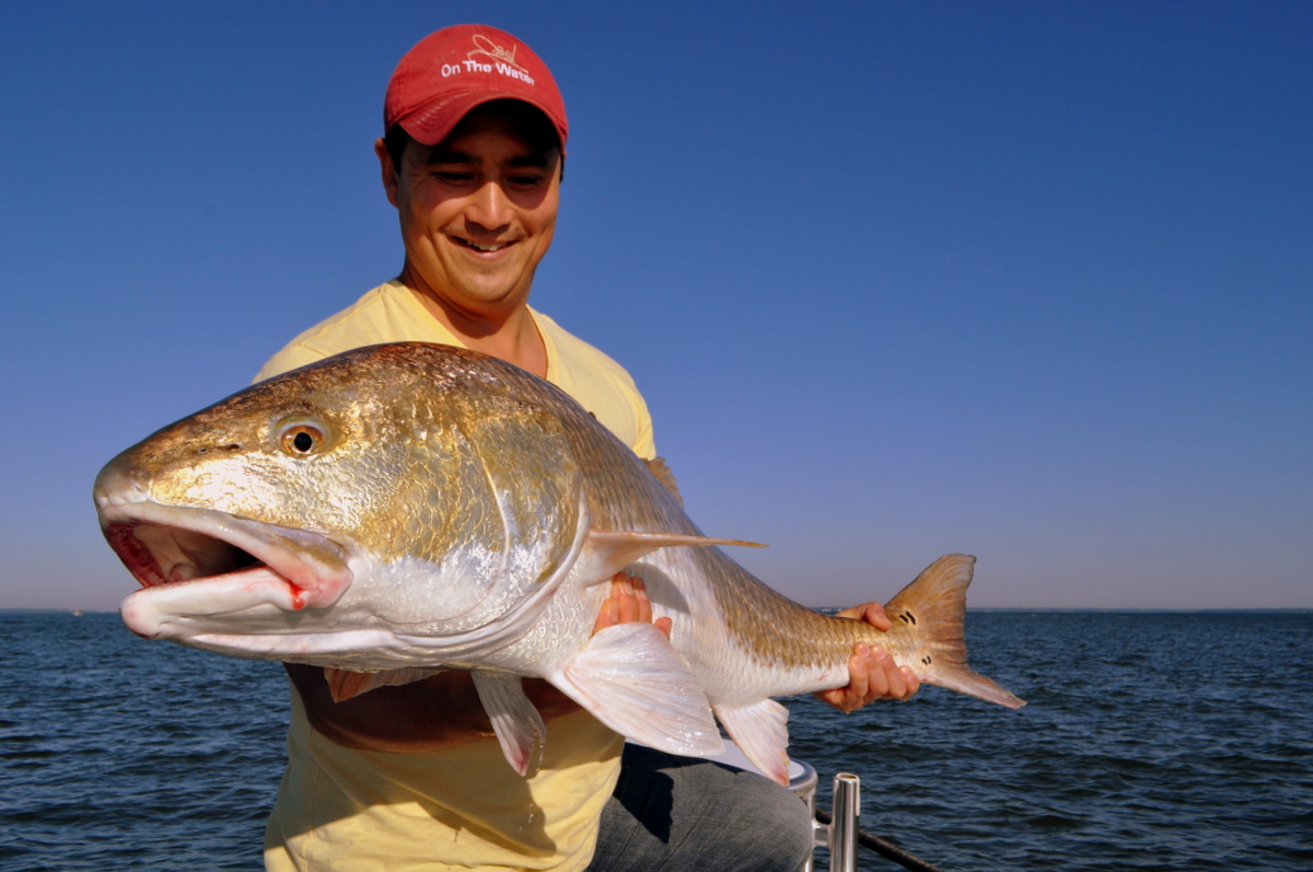 Trip Report: Hilton Head’s Bull Redfish