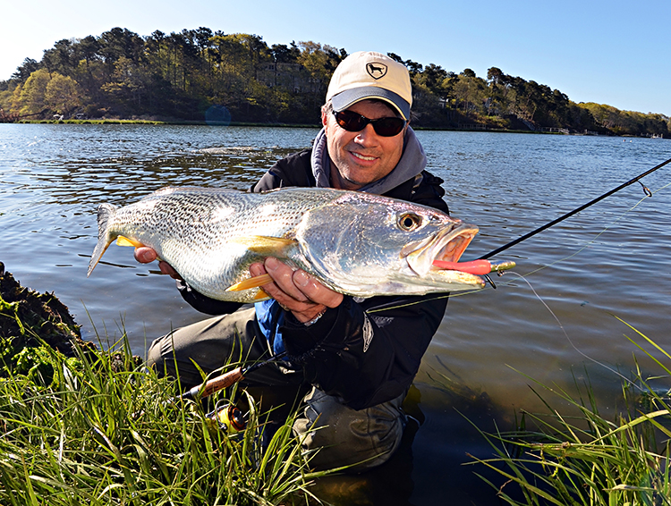 Watch The Full Episode: New England Weakfish - On The Water