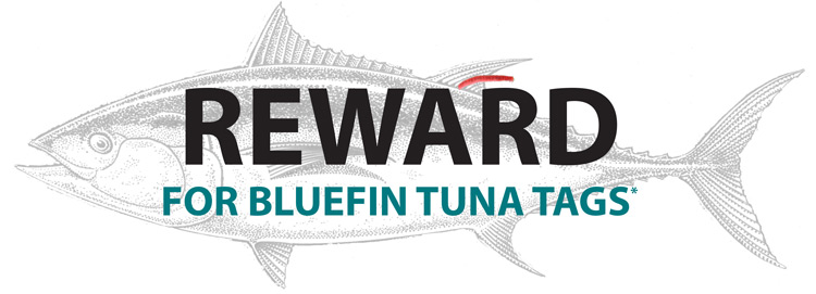 Rewards Given for Bluefin Tuna Tags - On The Water