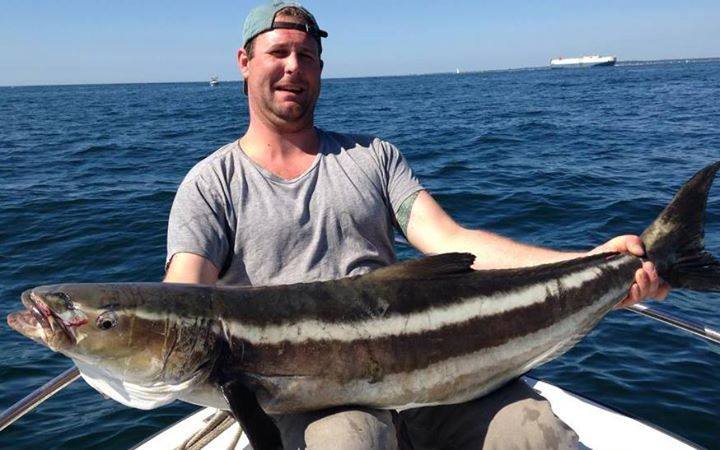 36 Pound Cobia Breaks Rhode Island Record - On The Water