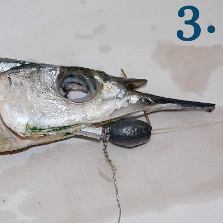 The Three Ballyhoo Rigs Every Offshore “Fishing Gal” Should Know – Reel ...