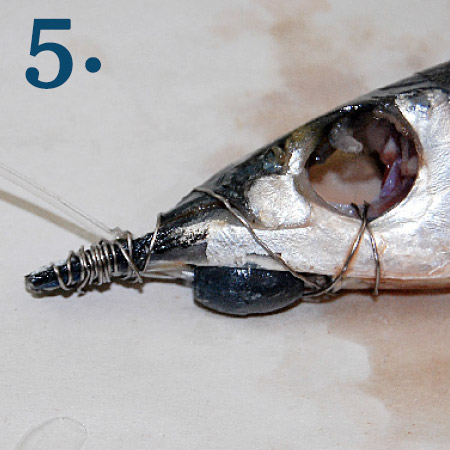 The Three Ballyhoo Rigs Every Offshore “Fishing Gal” Should Know – Reel ...