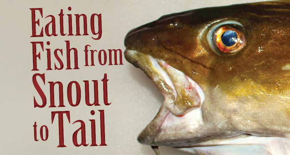 Eating Fish From Snout To Tail - On The Water