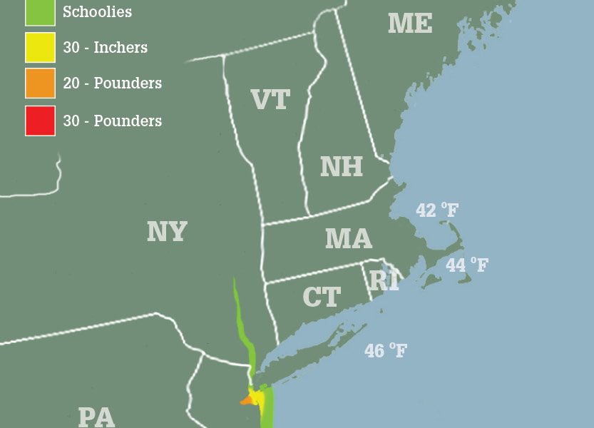 Upstate New York Fishing Reports