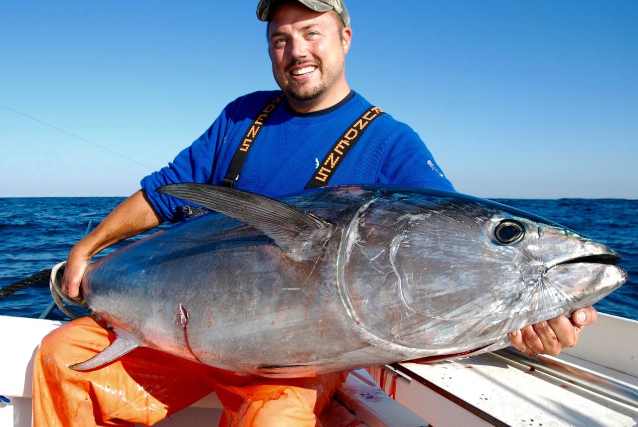 Cape Cod Fish