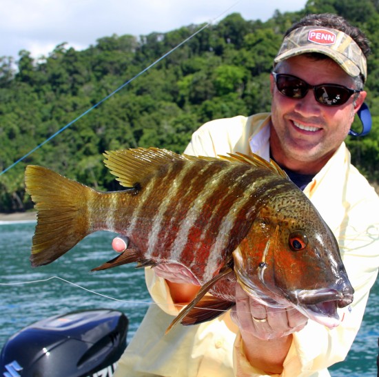 Bucket List Species: The Roosterfish - On The Water