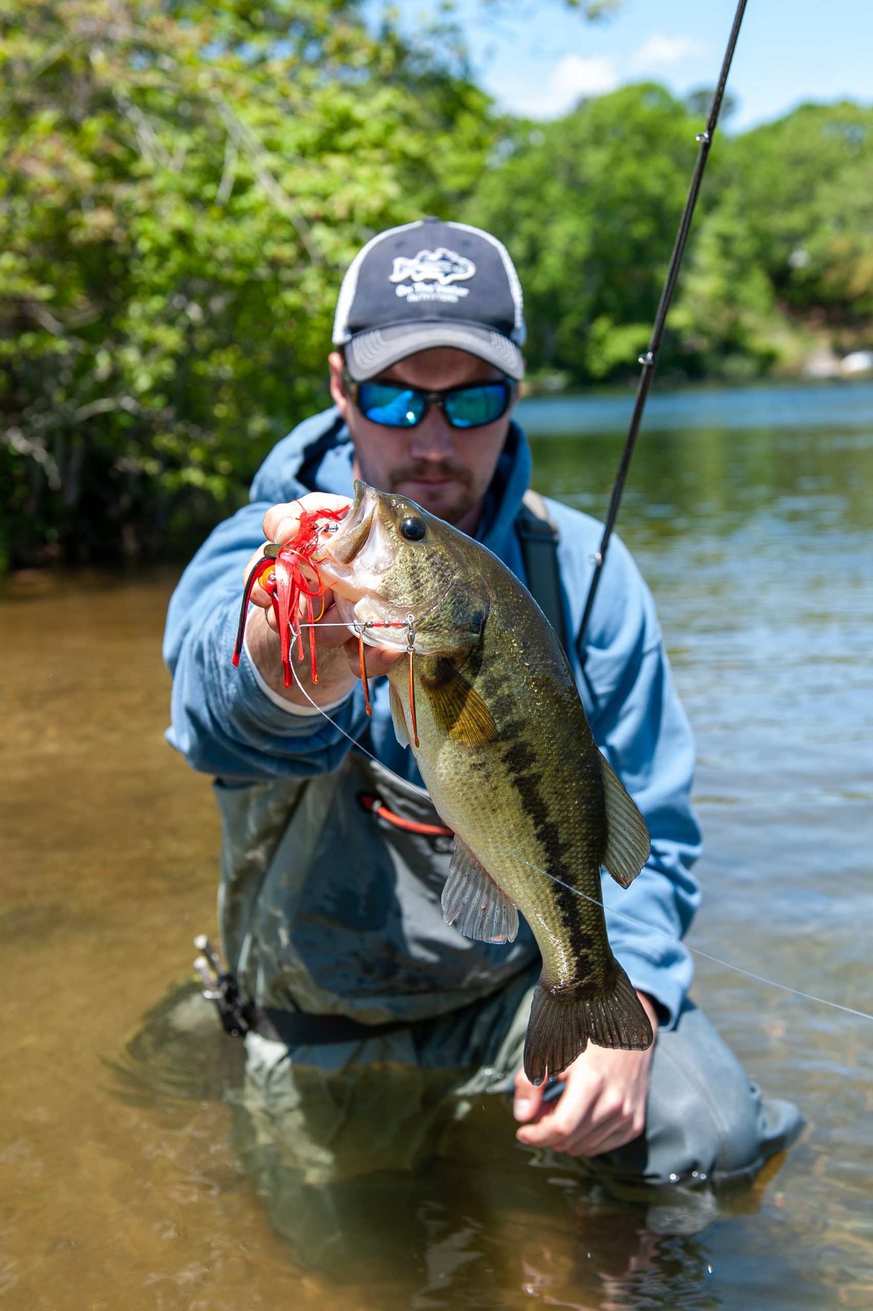 Largemouth Bass by the Calendar - On The Water