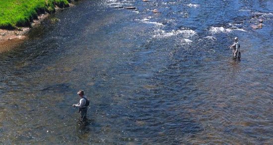 The Wild West Branch of the Deleware - Fin and Field Blog