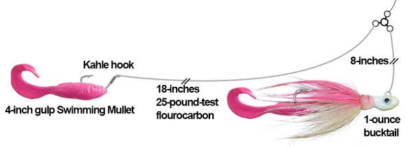 Find World-Class Summer Flounder In Back-Bay Waters - On The Water