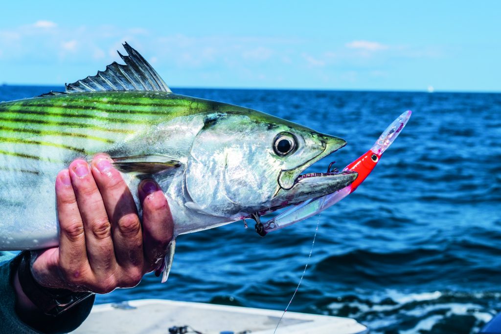 How to Troll for Bonito - On The Water