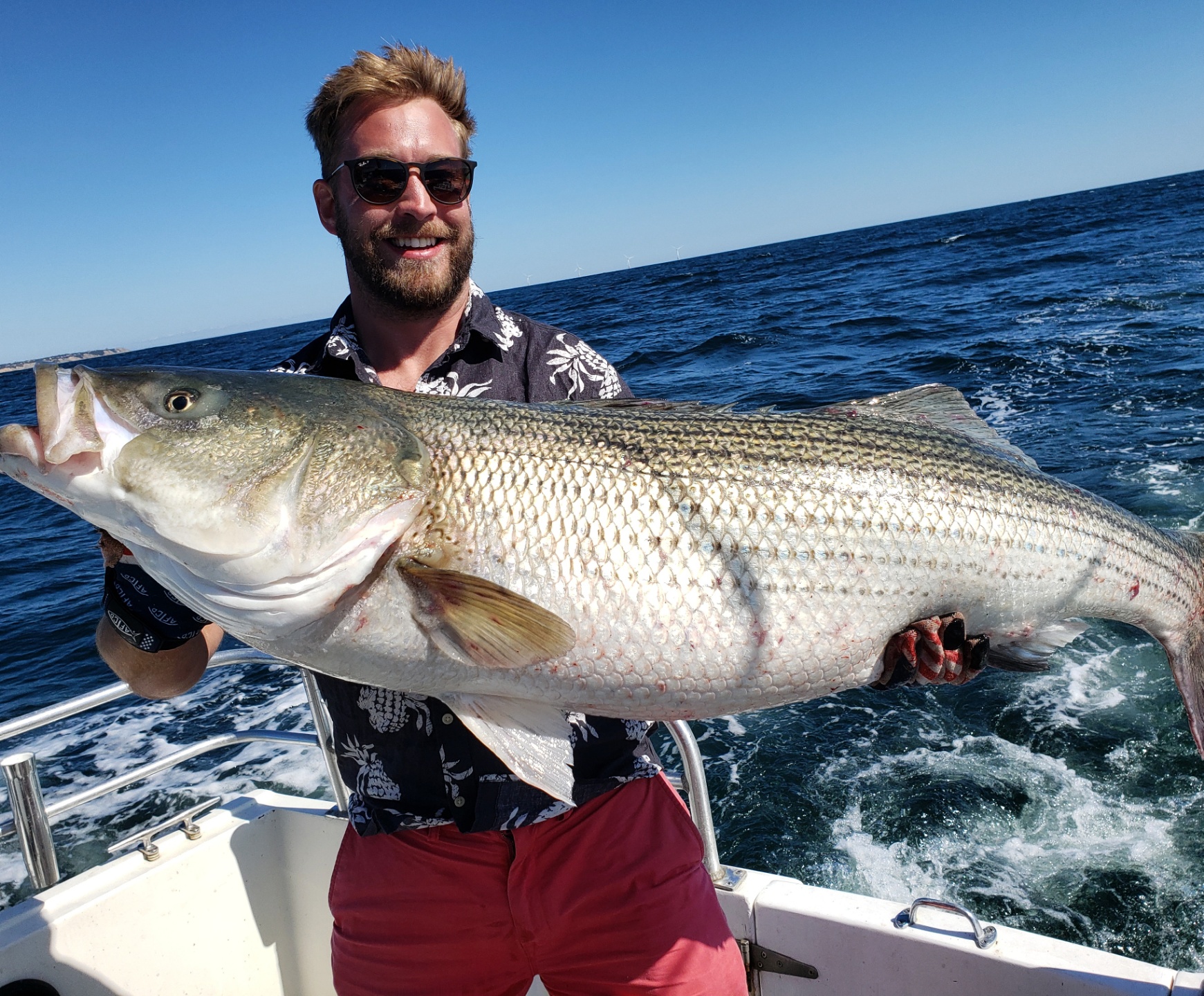 Long Island Fishing Report – September 26, 2019 - On The Water