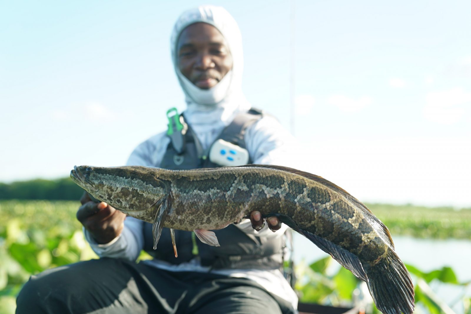 New Jersey's Northern Snakeheads & Flathead Catfish - On The Water