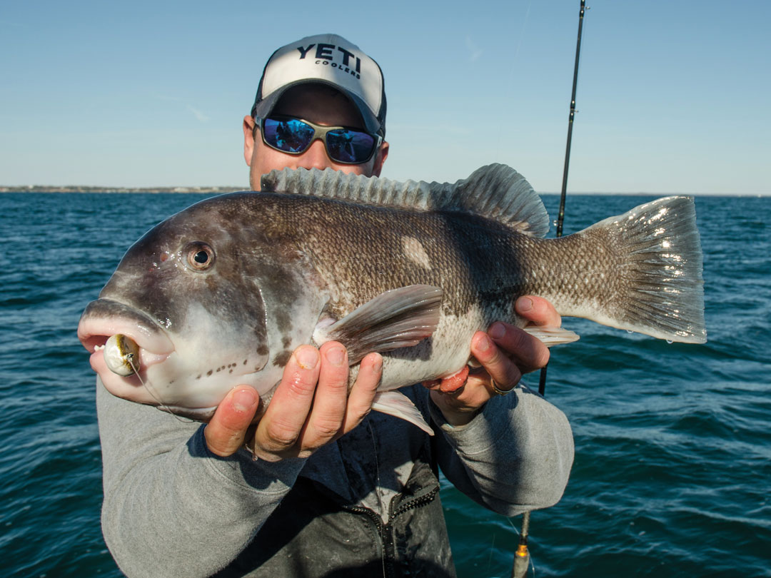 Seaworms for Spring Tautog - On The Water