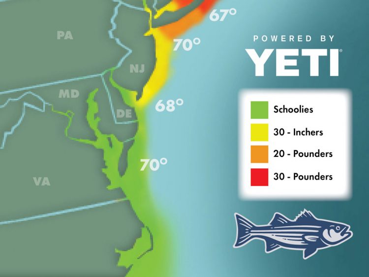 Connecticut Fishing Reports