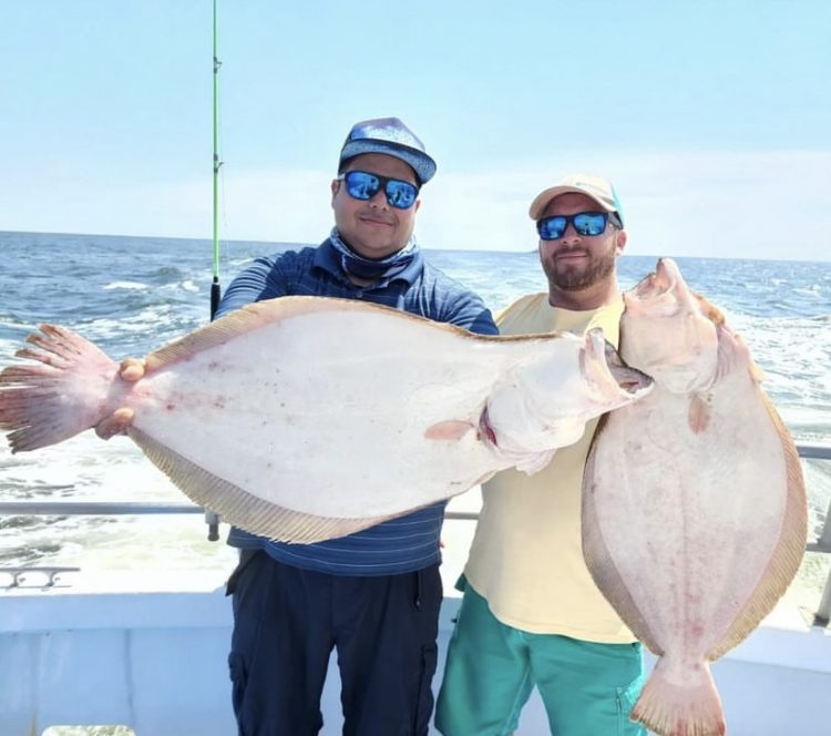 Western Long Island & NYC Fishing Report- August 25, 2022 - On The Water