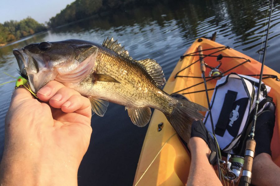 Upstate New York Fishing Reports