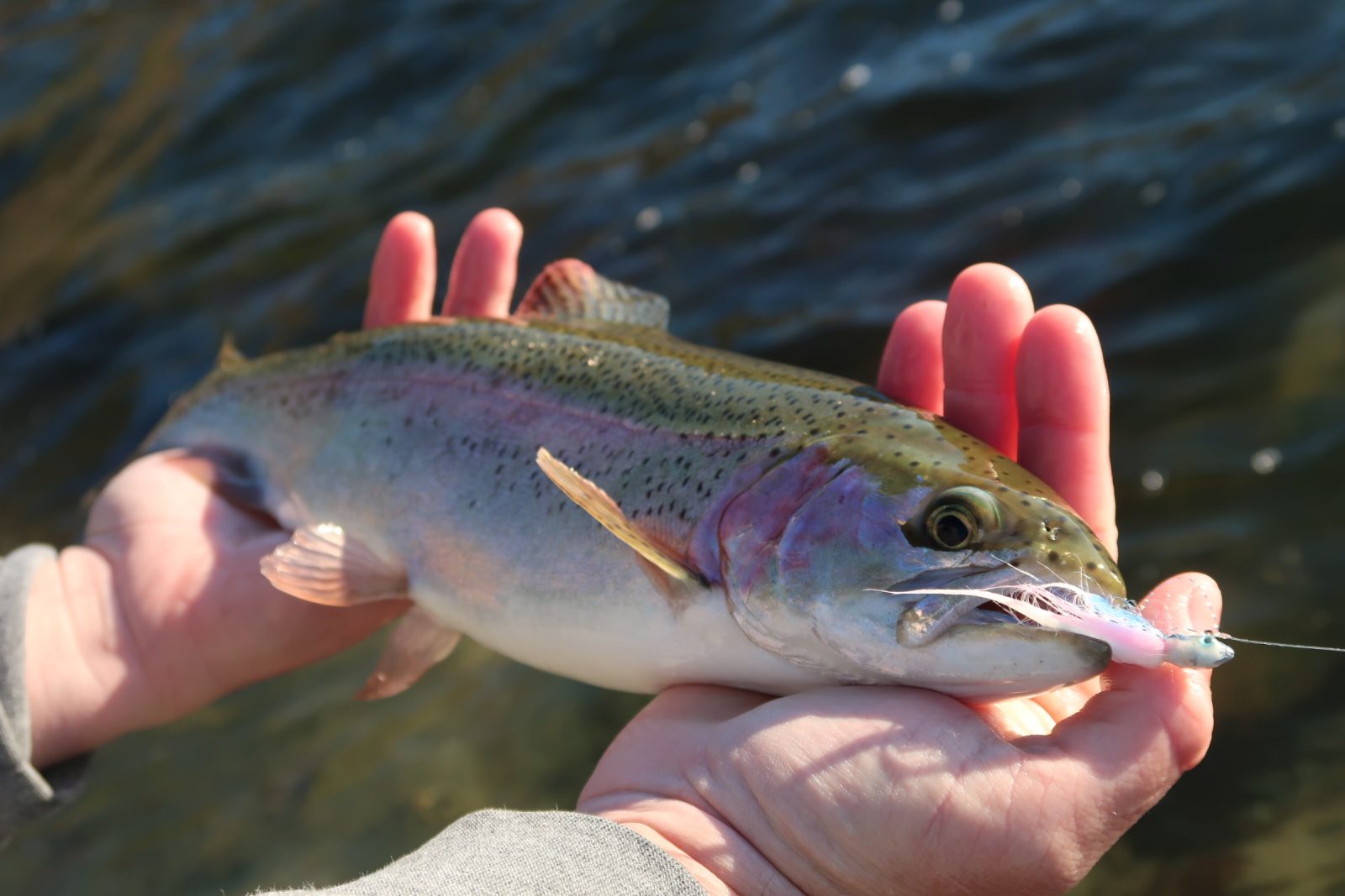 "Surfcasting" for Trout - On The Water