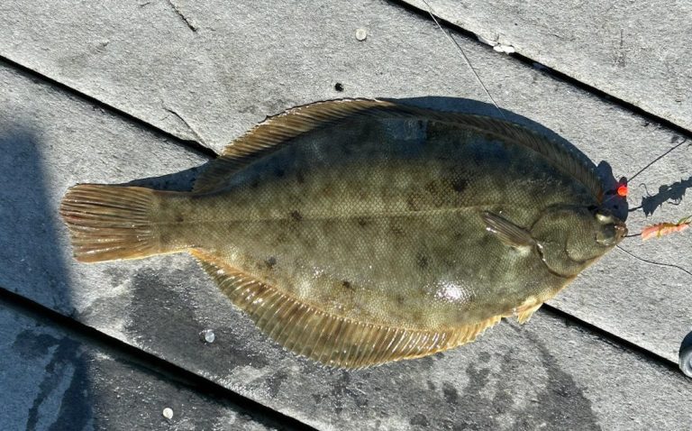 Northern New Jersey Fishing Report- March 23, 2023 - On The Water