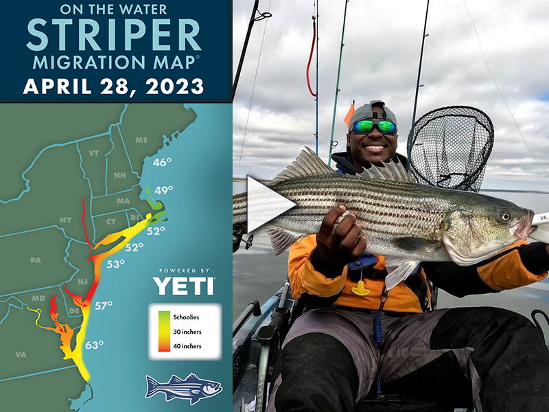 Striper Migration Report: April 28, 2023 - On The Water
