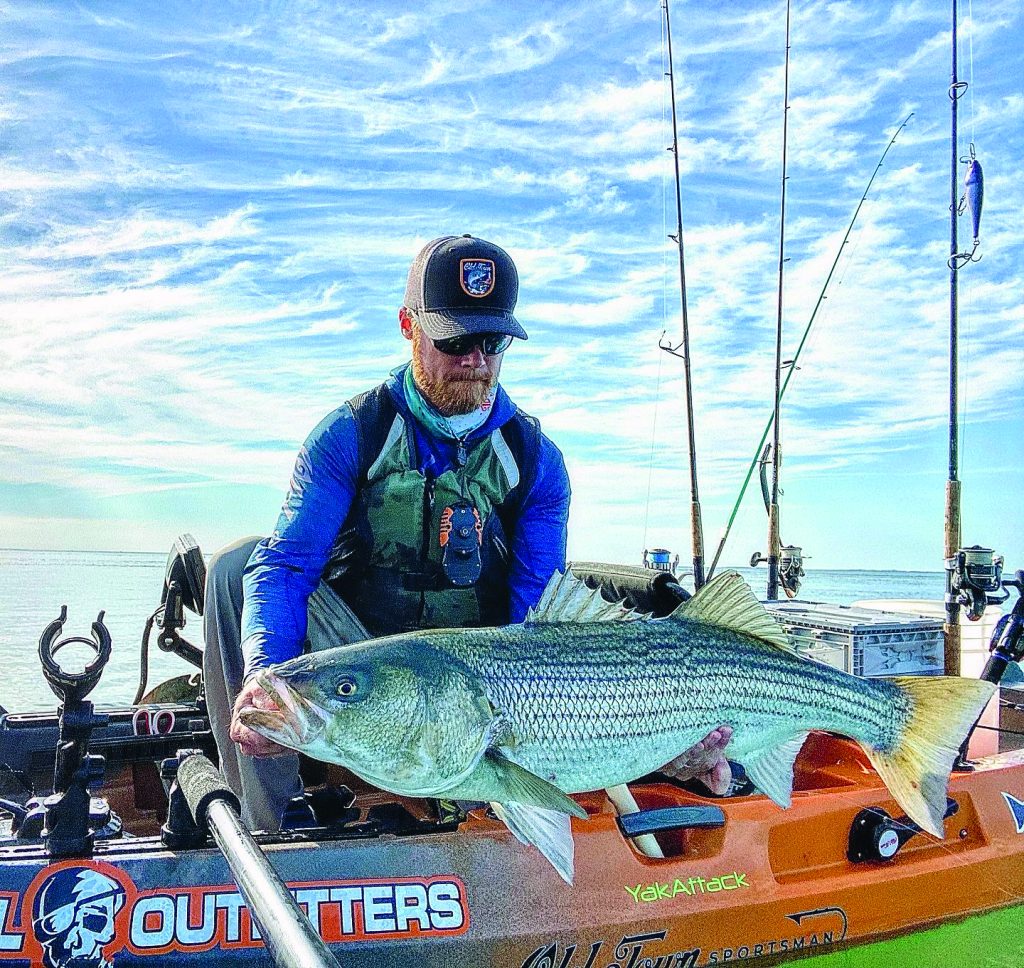 Cow Tipping: Catch Giant Striped Bass by Kayak - On The Water