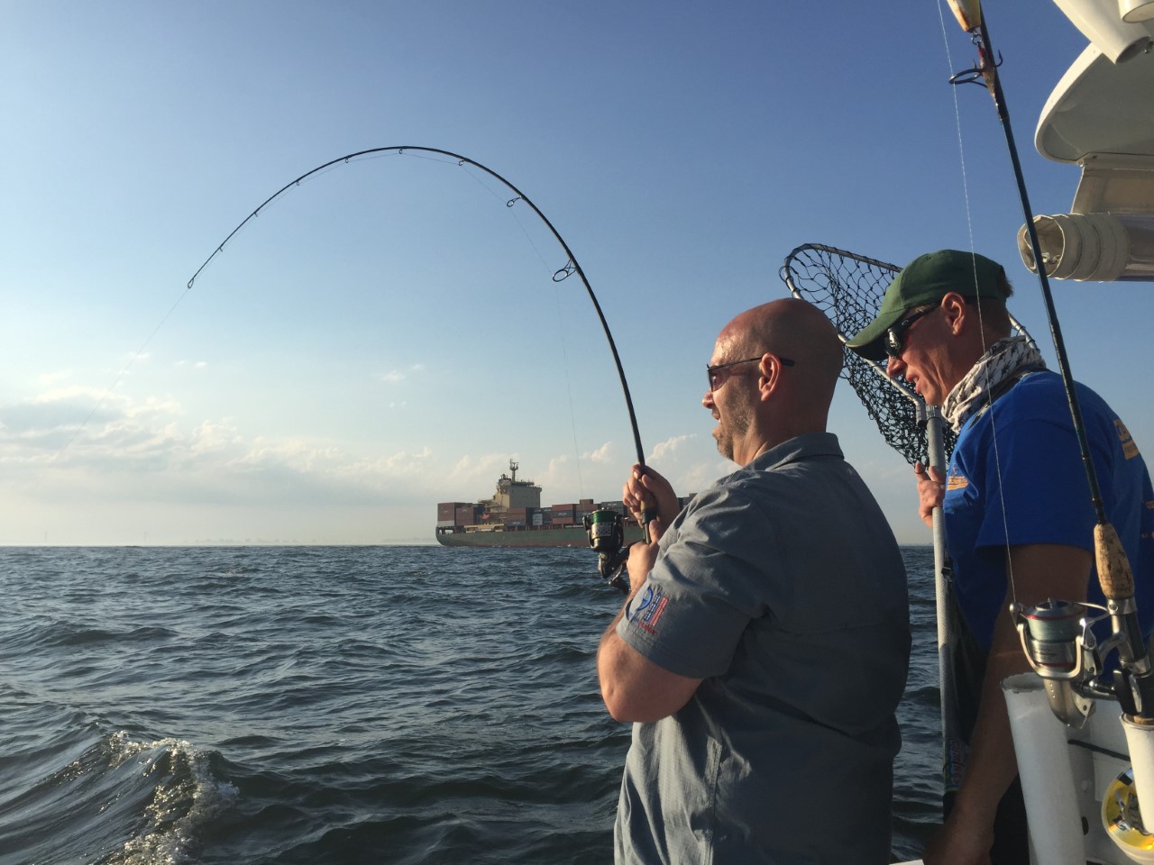 Three Lures for Stripers on Bunker Schools - On The Water