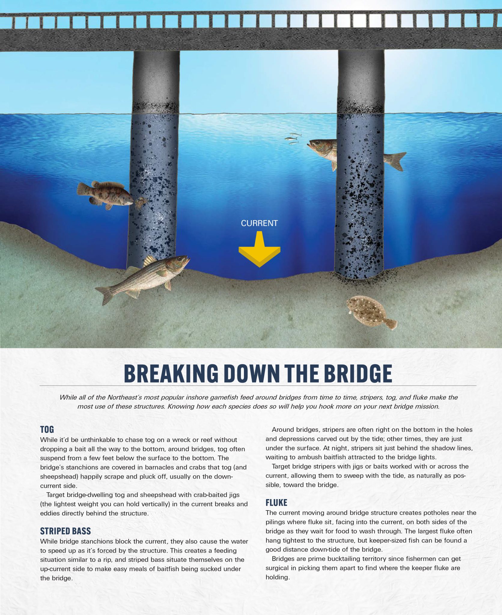 Bridge Fishing in the Back Bays - On The Water