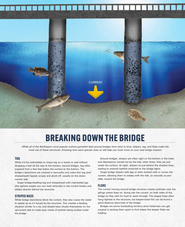 Bridge Fishing in the Back Bays - On The Water