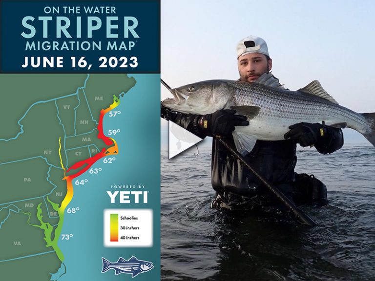 Striper Migration Map - On The Water