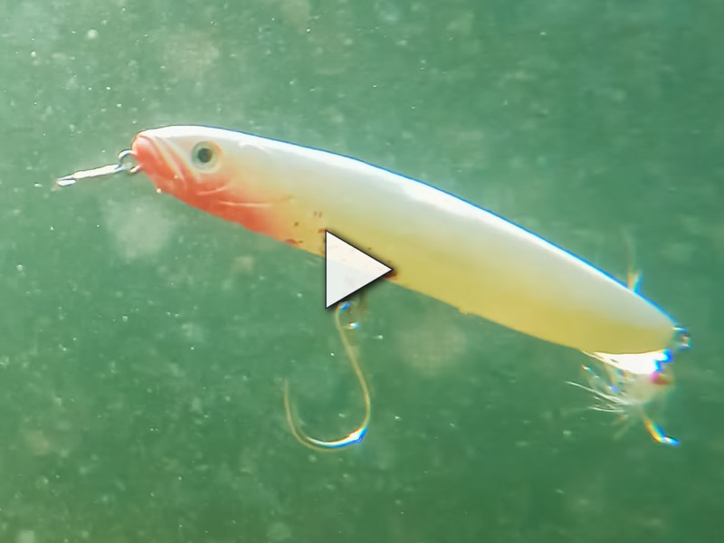 Lure Review: Island X Lures - On The Water
