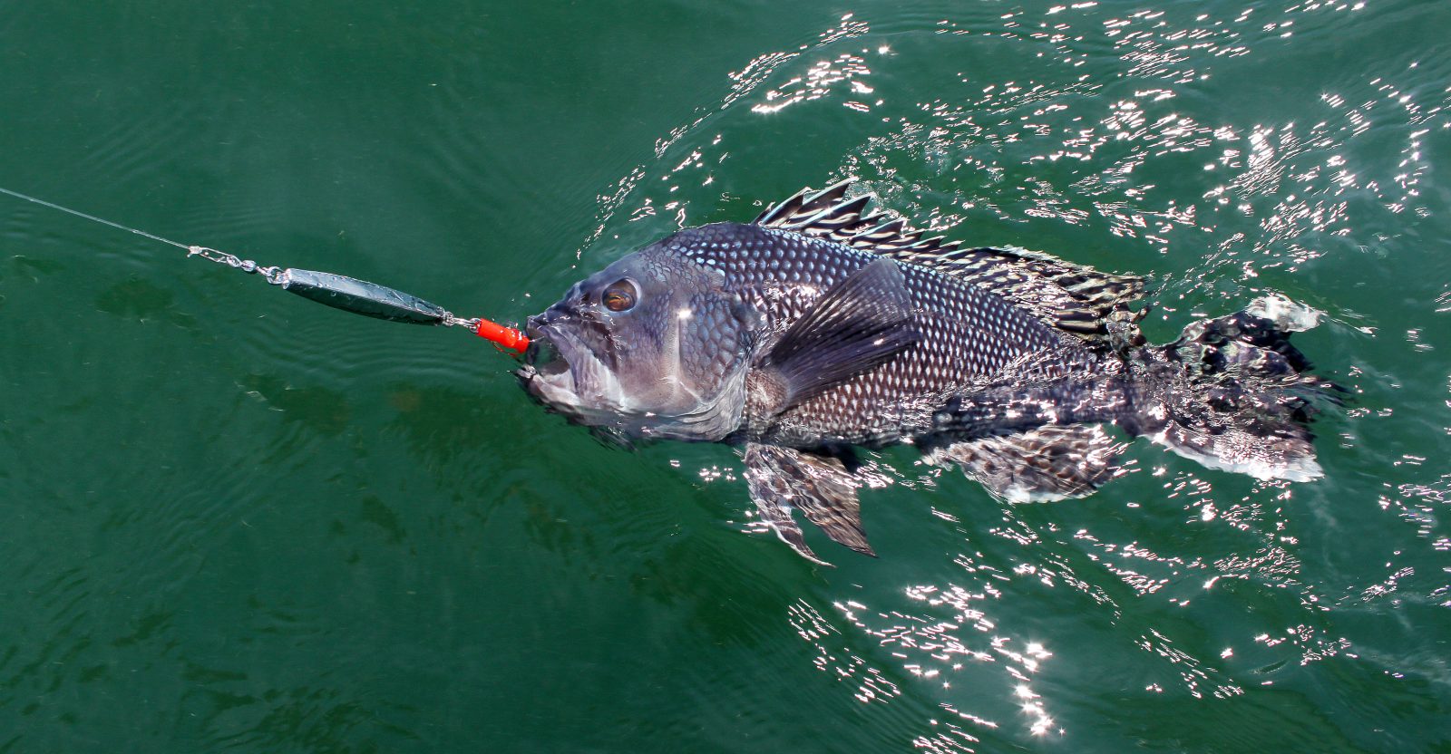 The History of Diamond Jigs - On The Water