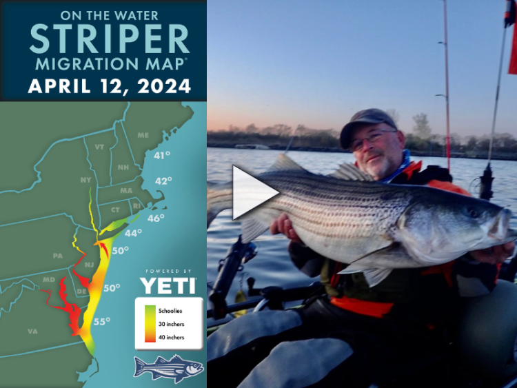 Connecticut Fishing Reports