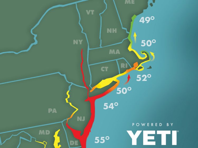 Striper Migration Map Archives - On The Water